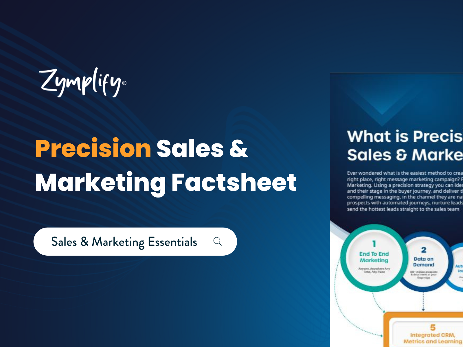 Precision Sales & Marketing Factsheet - Zymplify